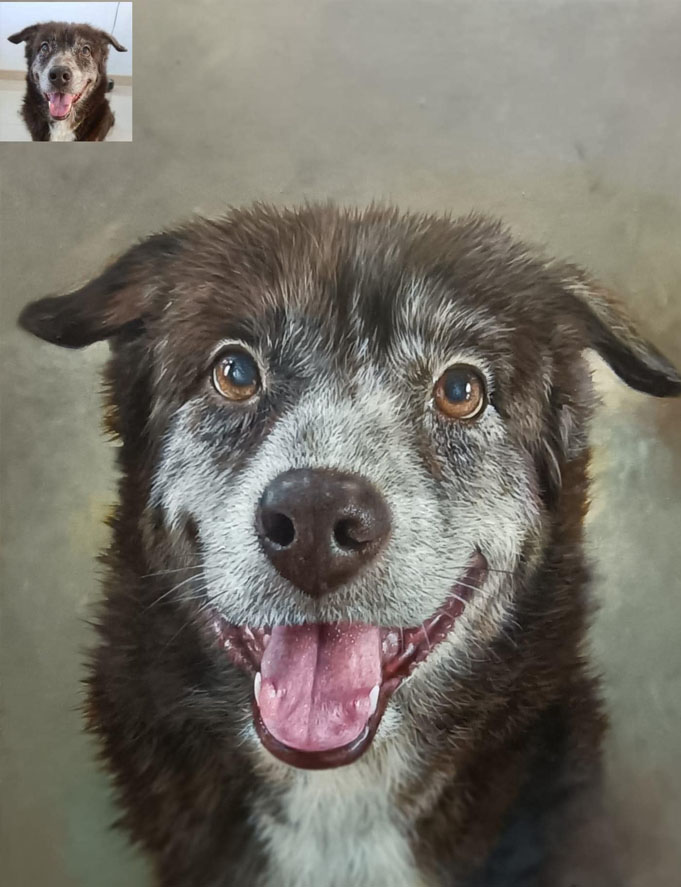 Honden Schilderijen | Laat een portret van je hond schilderen